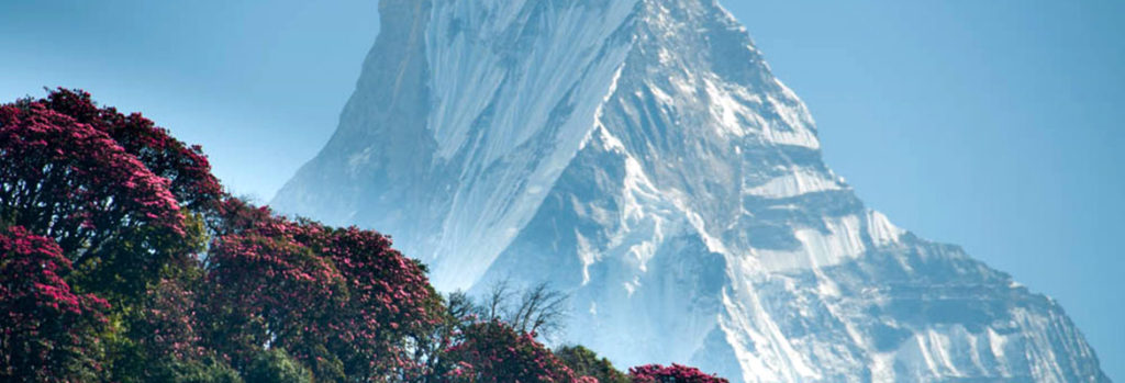 Ghorepani / Poon Hill • ALTITUDE PROJECT