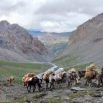 2020 PROJECTS and REPORTS • ALTITUDE PROJECT